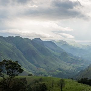 The Kruger National Park to Saddleback and Bulembu Passes - Nicola Ann Art